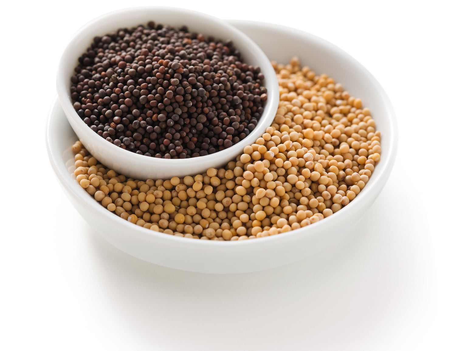 Senf - SINAPIS ALBA, BRASSICA. JUNCEA, BRASSICA NIGRA – Alfons Schuhbeck